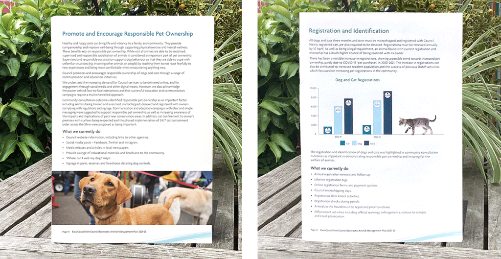 local council brochure - Susie Graphic Design